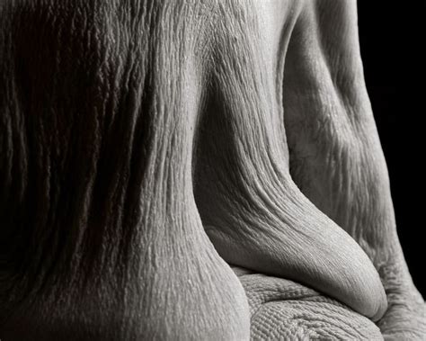 Intimate Portraits Of People Over 100 Years Old Reveal The Beauty Of