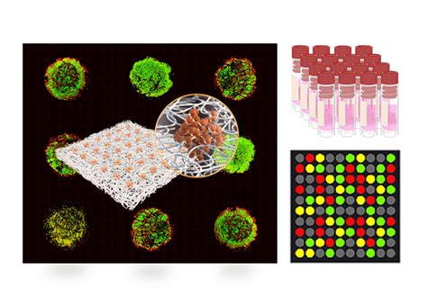 Figure 3 [image] Eurekalert Science News Releases