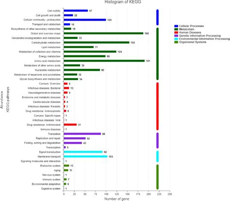Pathway Classification Of M52 Based On The Kegg Database Download