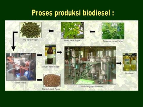 Ppt Pemanfaatan Energi Biomassa Sebagai Biofuel Konsep Sinergi