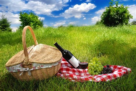 Fonds Decran Le Raisin Vin Pique Nique Panier En Osier Bouteille Verre
