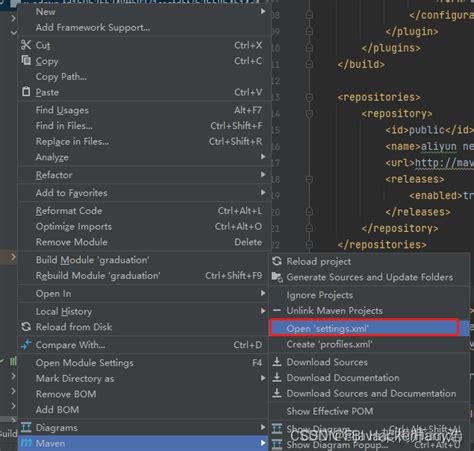 maven 解决cannot access alimaven以及process terminated（cannot connect to