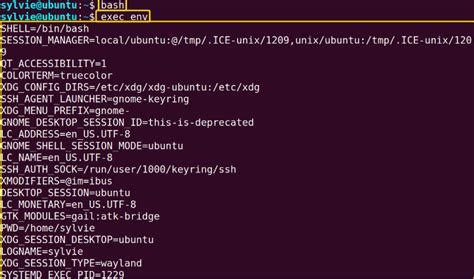 the “exec” command in linux [8 practical examples]