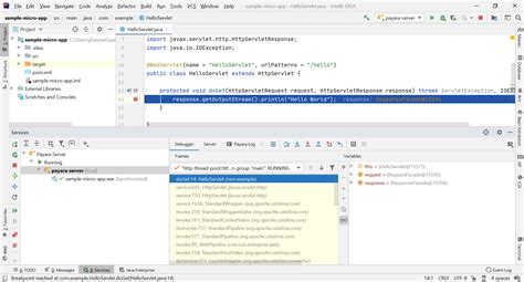 payara platform tools intellij ides plugin marketplace