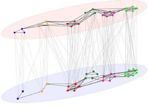 a multi layer social network of male red ellipse and female blue