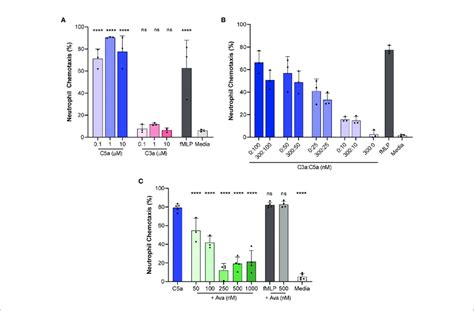 Chemotaxis Of Isolated Neutrophils Towards C5a And C3a And The Effect