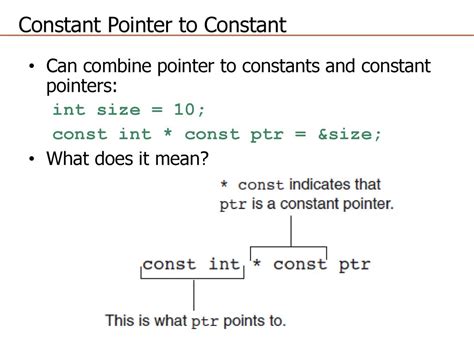 constant pointers and pointers to constants ppt download