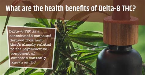 What Are The Health Benefits Of Delta 8 Thc The Insight Post