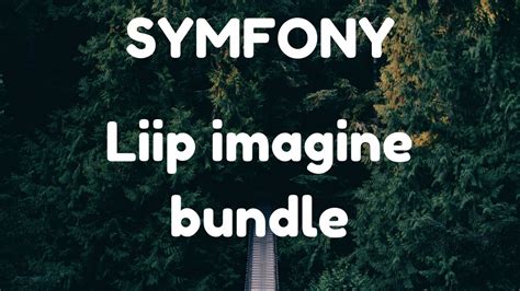 installer et utiliser liip imagine bundle symfony 4 youtube