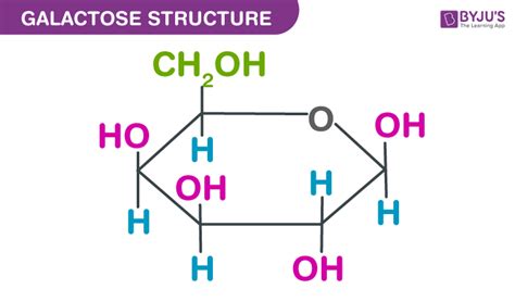 Galactose Formula Definition Formula Structure And Properties