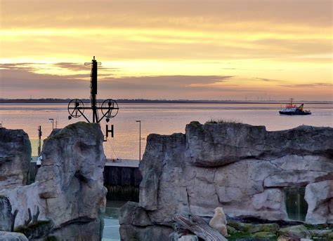 Wallpaper Sky Sea Water Shore Sunset Coast Morning Horizon