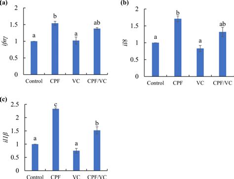 Relative Expression Of Immune Related Genes Ifnγ Il8 And Il1β In