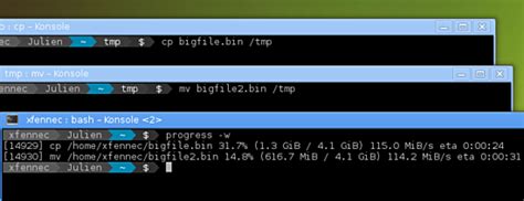how to monitor progress of linux commands using pv and progress utilities