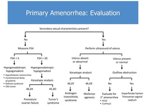 Ppt Amenorrhea Powerpoint Presentation Id 6190591