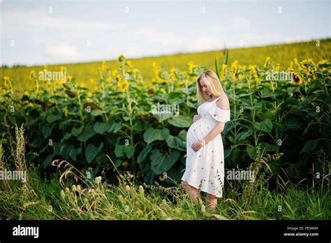 Blonde Pregnant Mother In Sunflowers Field Happy Moments Of Pregnancy