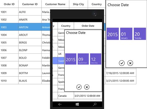 column types in uwp datagrid control syncfusion
