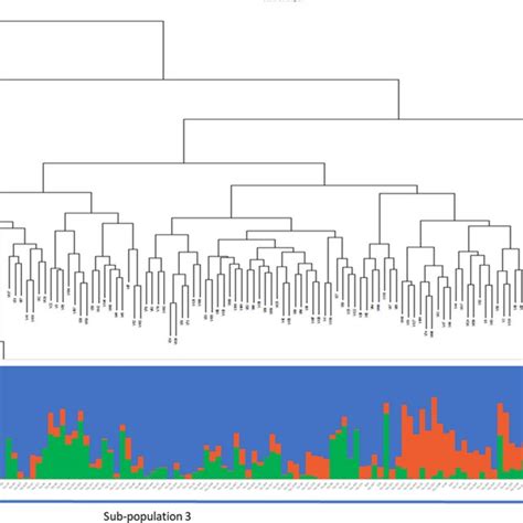 hierarchical cluster dendrogram based on gower distance matrix of 26