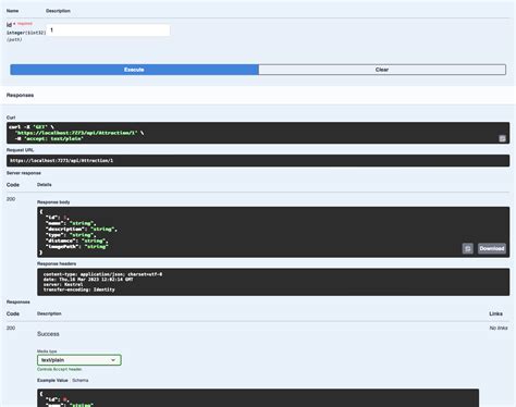 c trying to add authorization to my api with swagger stack overflow