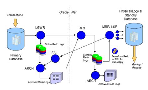 rac database administration dataguard process architecture