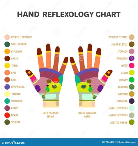 Traditional Alternative Heal Reflexology Hand Massage Points Stock