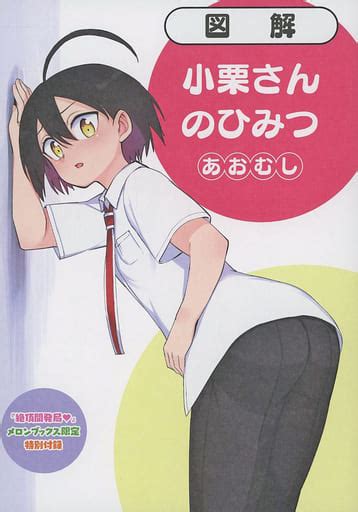 駿河屋 【アダルト】 絶頂開発局 メロンブックス限定特別付録 4pリーフレット 特典（漫画・アニメ）