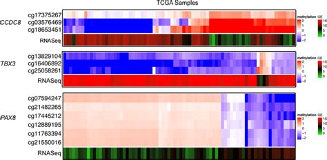 Tcga Validation Methylation Expression Correlations According To