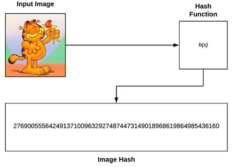 building an image hashing search engine with vp trees and opencv