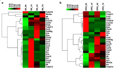Heatmaps Of The Expression Levels Of Commonly Differentially Expressed