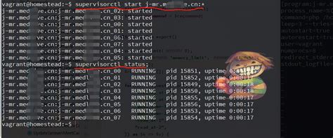 python starting supervisord as root or not stack overflow