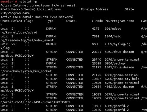 Netstat Command Linux
