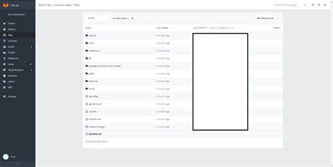 how to use gitlab ci cd to deploy a meteor project itecnote