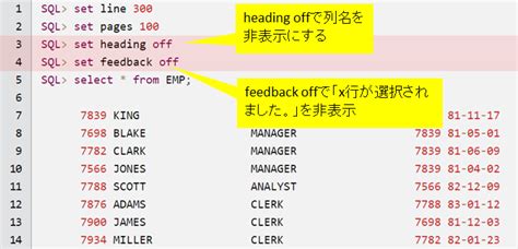 oracle sqlコマンドラインを使用するサンプル itsakura