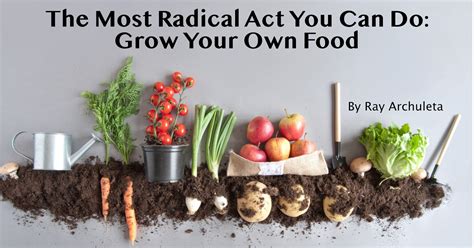 How To Grow Your Own Food A Step By Step Guide For Beginners