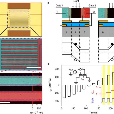Electrostatically Doped Silicon P I N Photodiode A Optical Microscopy
