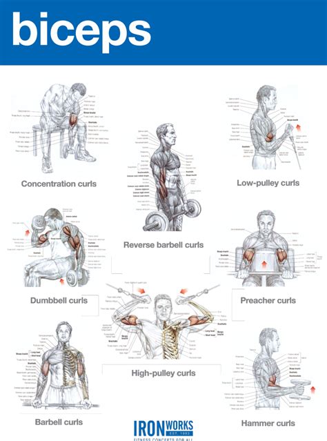 Exercise Tracking Apps For Ipad List Biceps Workout At Gym Videos