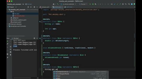 2 morphy for flutter and dart a code generation tool to help create