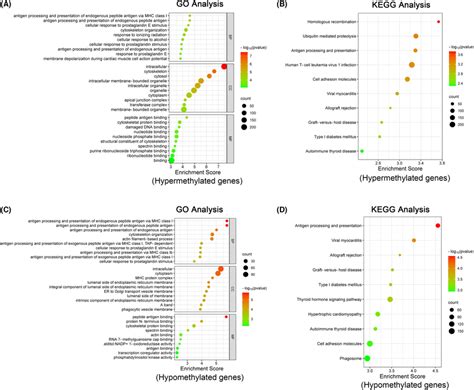 Go Enrichment And Kegg Pathway Analysis Of Host Genes Of Differentially