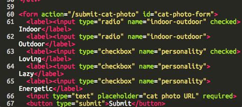 freecodecamp challenge guide use an id attribute to style an element