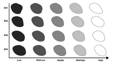 sexual systems in fossils figures