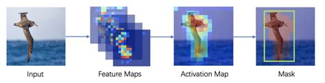 multi branch and multi scale attention learning for fine grained visual