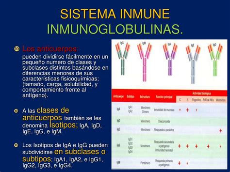 Ppt El Sistema Inmune Powerpoint Presentation Free Do