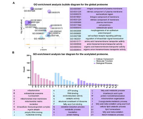 Gene Ontology Go Functional Classification Of Differentially