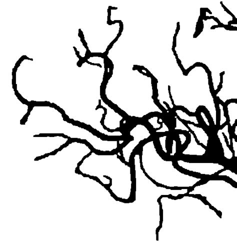 python smoothing edges of a binary image stack overflow