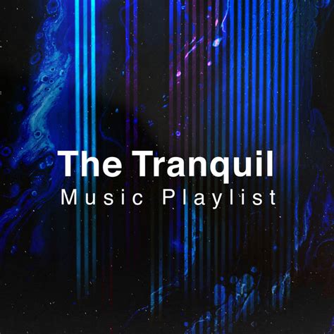 Phasing Forest Song And Lyrics By Tranquil Music Sound Of Nature