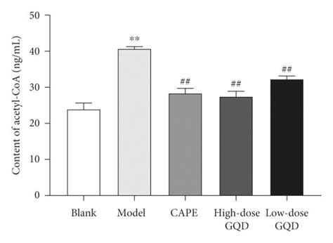 Effects Of Gegen Qinlian Decoction Gqd On The Acetyl Coenzyme A
