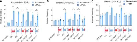 Figure 1 From Identification Of Molecular Determinants In Irhoms1 And 2