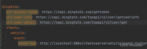 could not resolve placeholder “xxx“ in value “ {}“ csdn博客