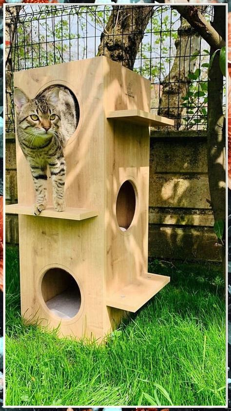 8 Purr Fect Cat House Ideas Create A Cozy Haven For Your Feline Friend