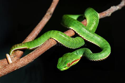 python 3 web scraping