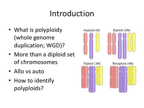Whole Genome Duplication And Plant Genome Diversity Spare